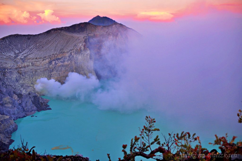 Sen na Jawie - Witki na walizkach