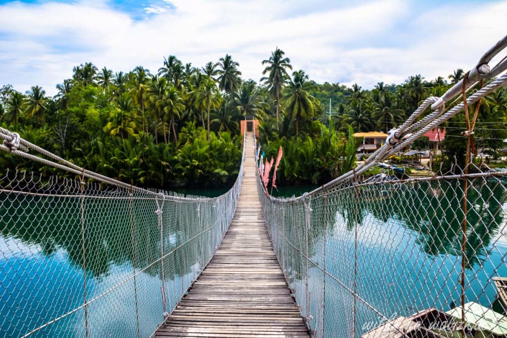 Panglao i Bohol - Witki na walizkach